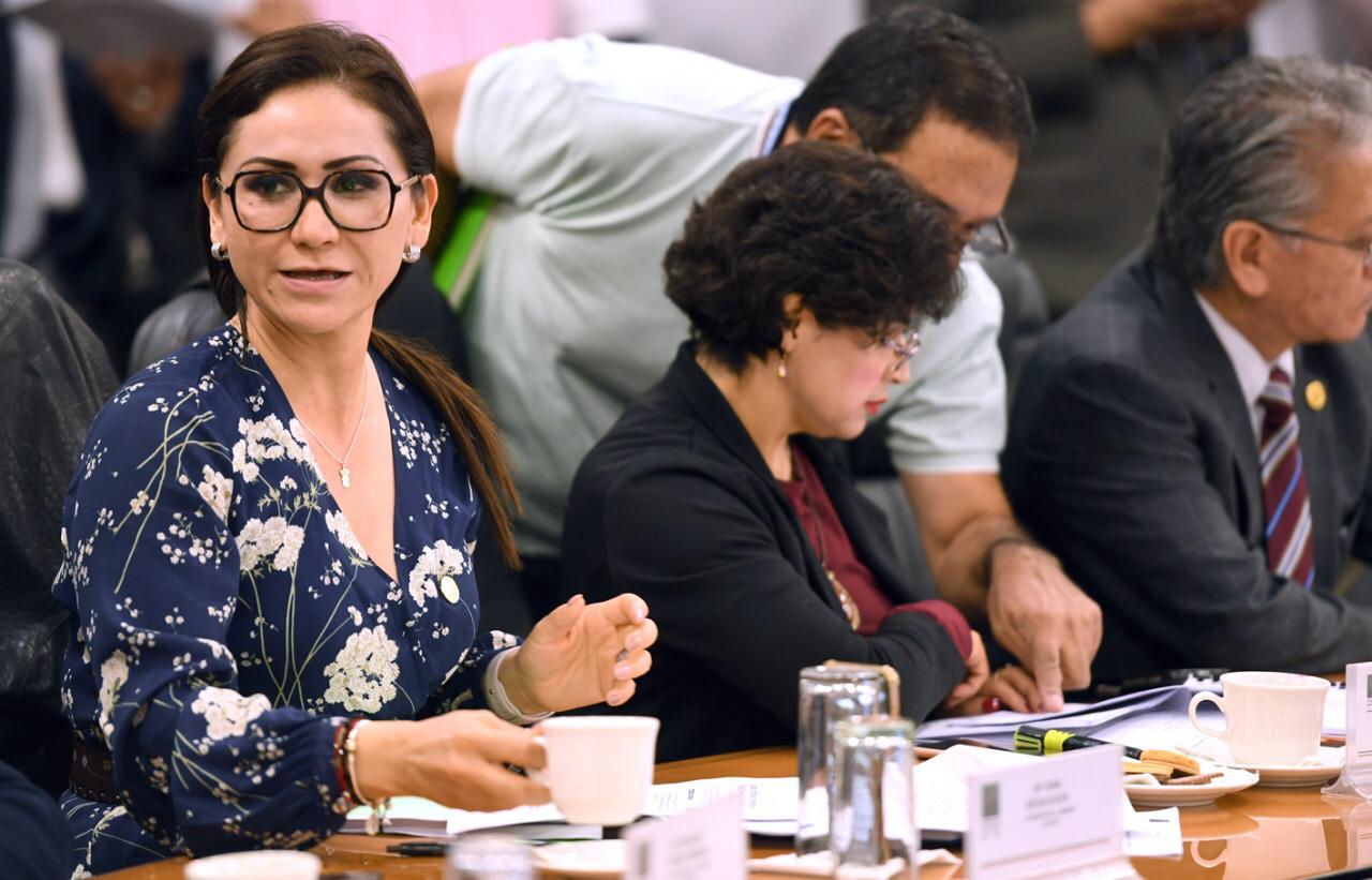 Advierte Sonia Rocha sobre riesgos de desaparecer el Seguro Popular ...