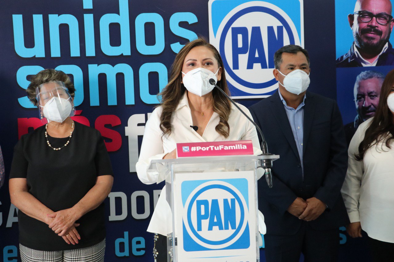 Se registró Sonia Rocha como candidata a diputada federal ante INE - El ...