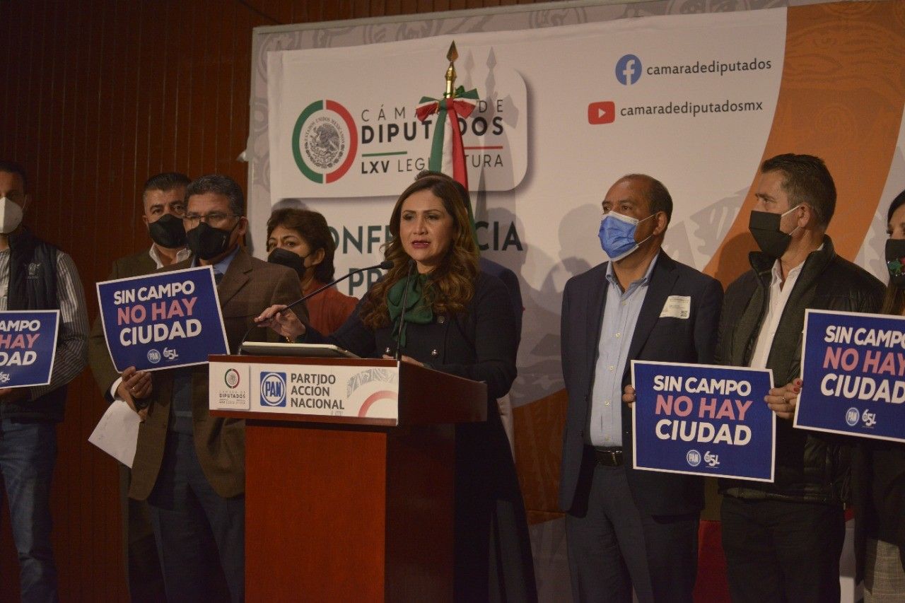 Sonia Rocha crea bloque queretano en defensa del presupuesto para el ...