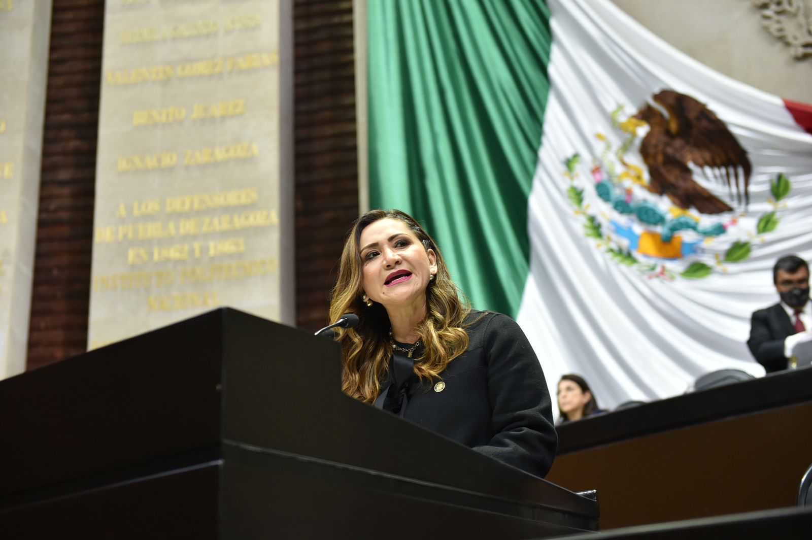 Presenta Sonia Rocha 100 propuestas de reasignación de presupuesto ...