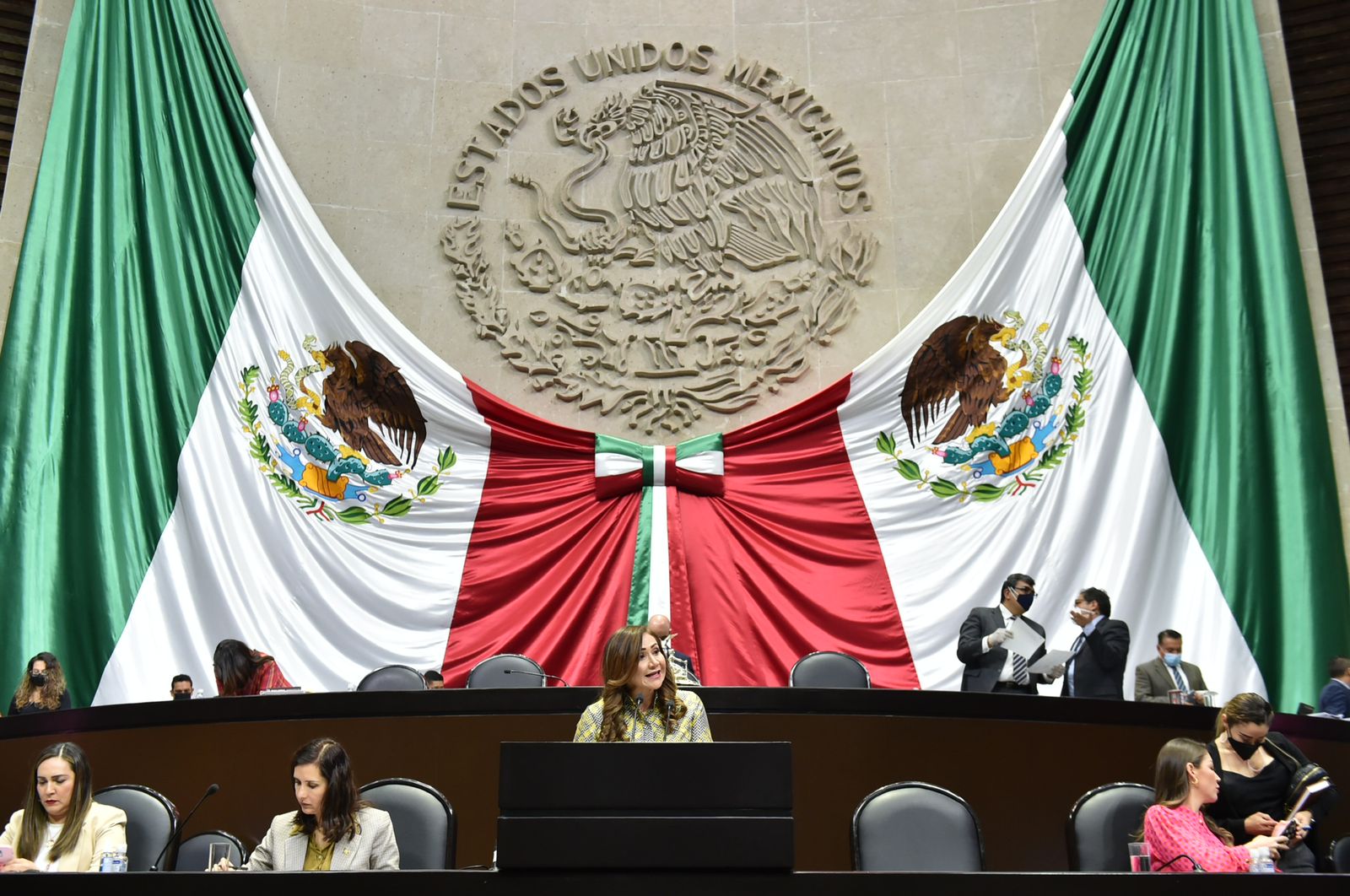 Diputados aprueban iniciativa de Sonia Rocha en favor de la salud de la ...