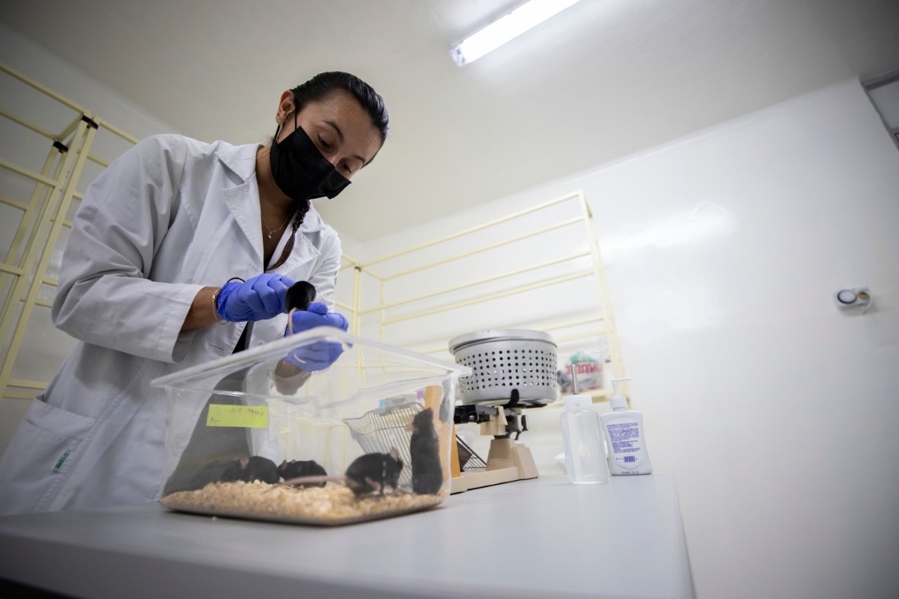 Multidisciplina y colaboración, claves para desarrollo de la ciencia ...