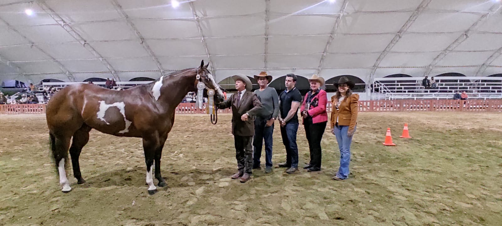 Grandes campeones equinos, originarios de Querétaro y Estados Unidos ...